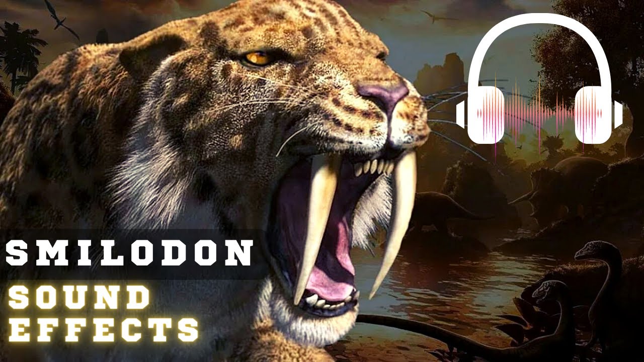 Smilodon Sound Effect | Smilodon Growling Sounds | Prehistoric Animals ...