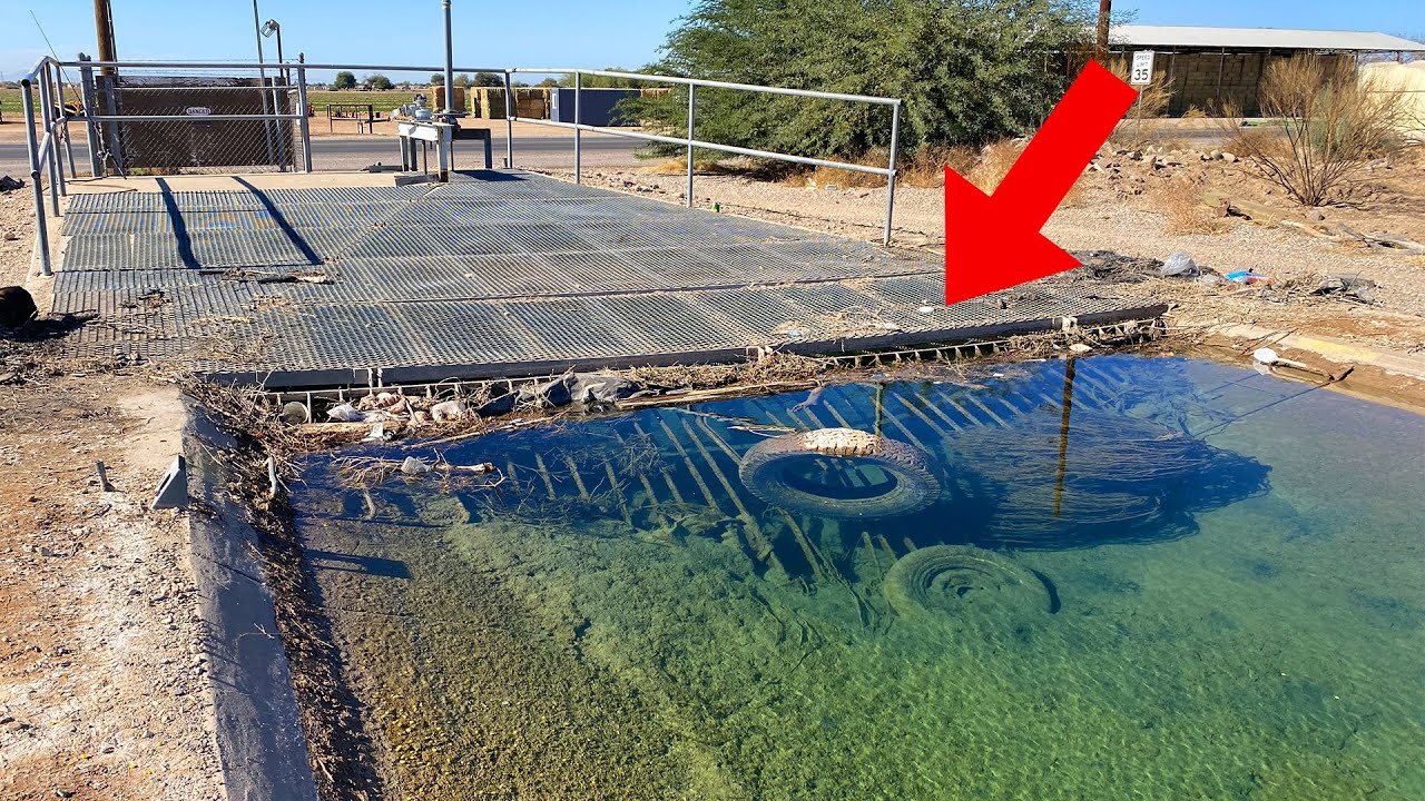 I Fished A MICRO Irrigation Ditch And Caught This... - YouTube