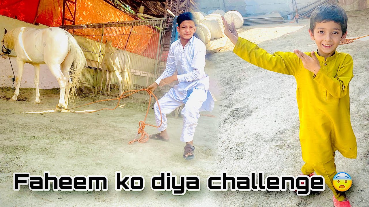 Faheem ko diya challenge | TS Pet House ma subhan na diya dangerous ...