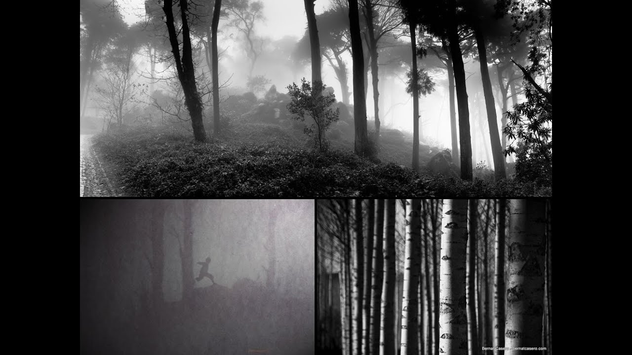 lost woods horror movie trailer 2016 - YouTube