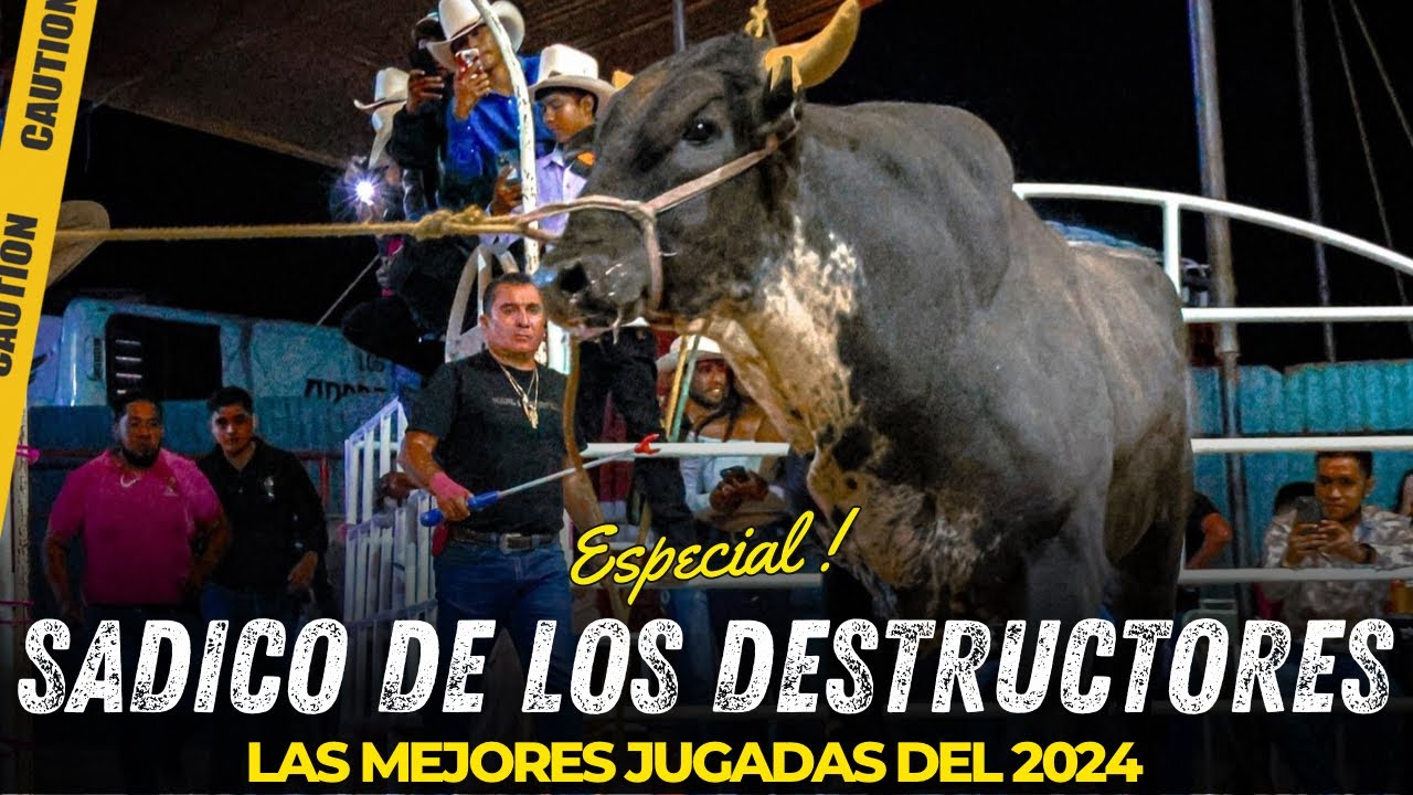 LAS MEJORES JUGADAS DEL FENÓMENO DE LOS RUEDOS | EL SADICO DE LOS ...