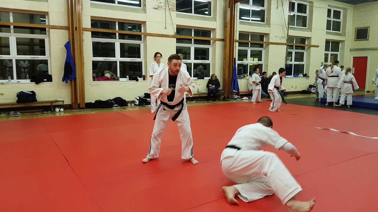 Seishin Ryu Jujitsu - Archive Video 1 - YouTube