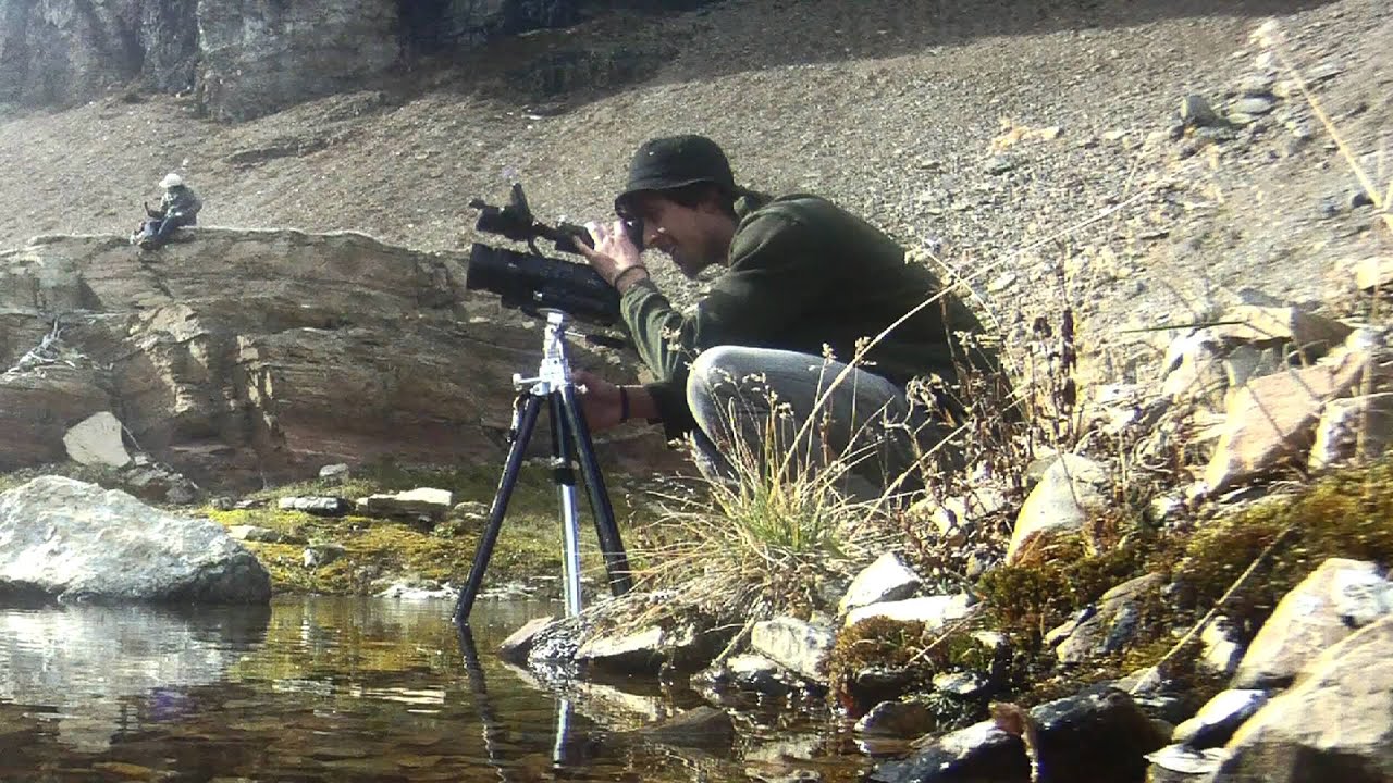 Steward_Jack_Intro.mp4 - YouTube