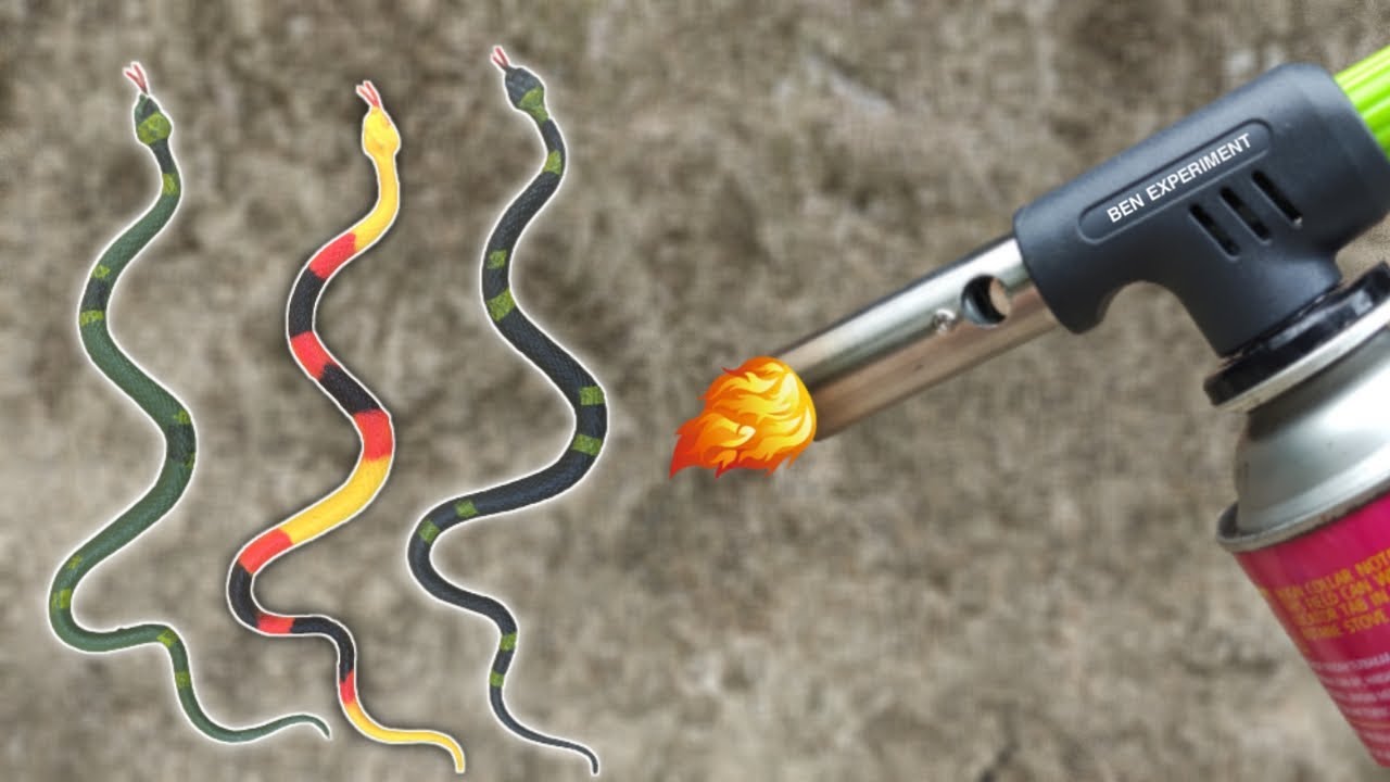 EXPERIMENT : GAS TORCH VS 3 SNAKE - YouTube