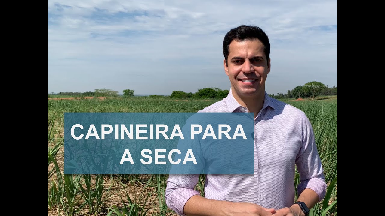 QUAL CAPINEIRA UTILIZAR PARA O PERÍODO DE SECA? - YouTube