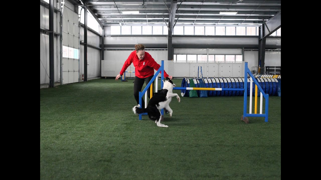 Clean Run: As the World Turns, June 2014, Reverse Wrap Backside ...