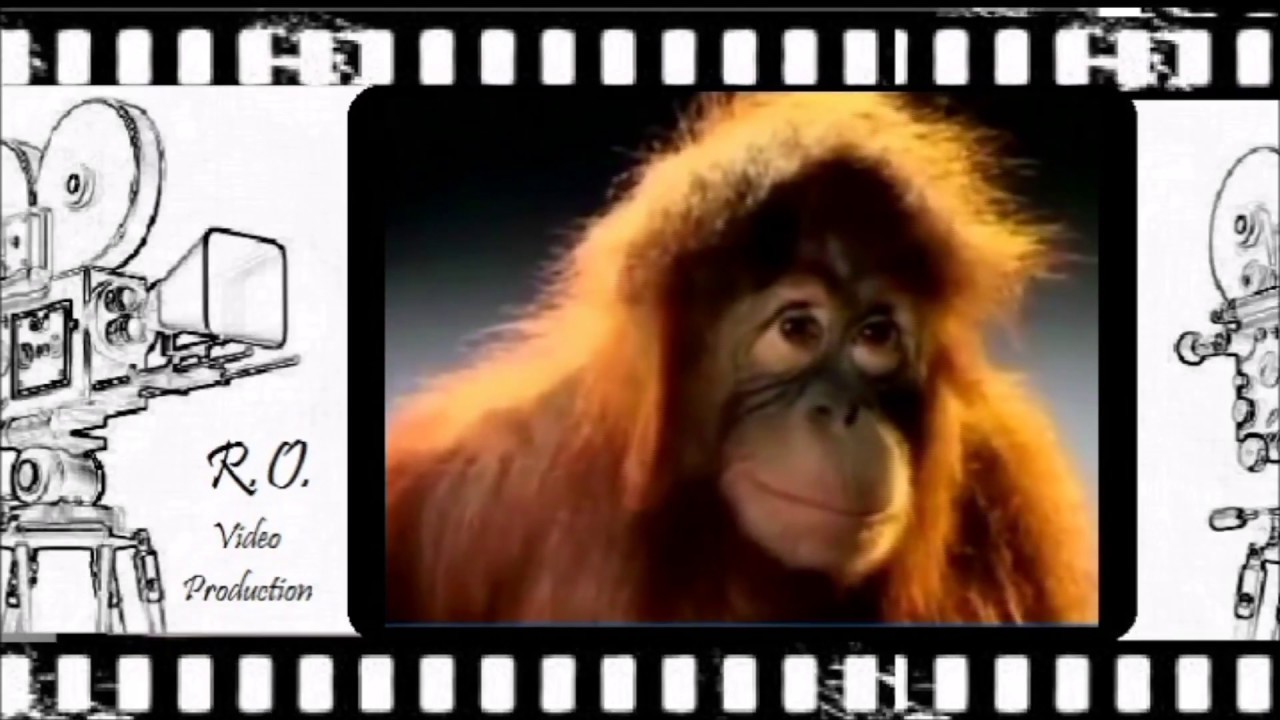 Gabrielle Sunshine Lyrics - YouTube
