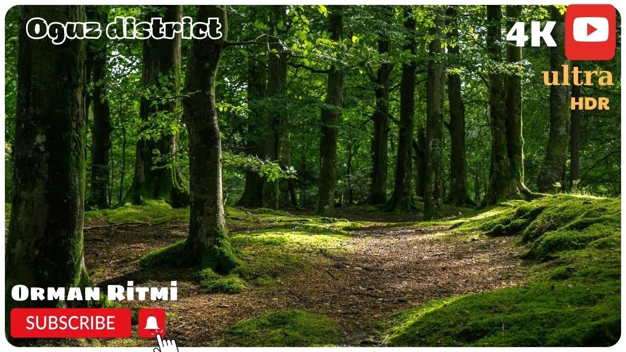 Oguz district 4K HD (Oğuz rayonu) - YouTube