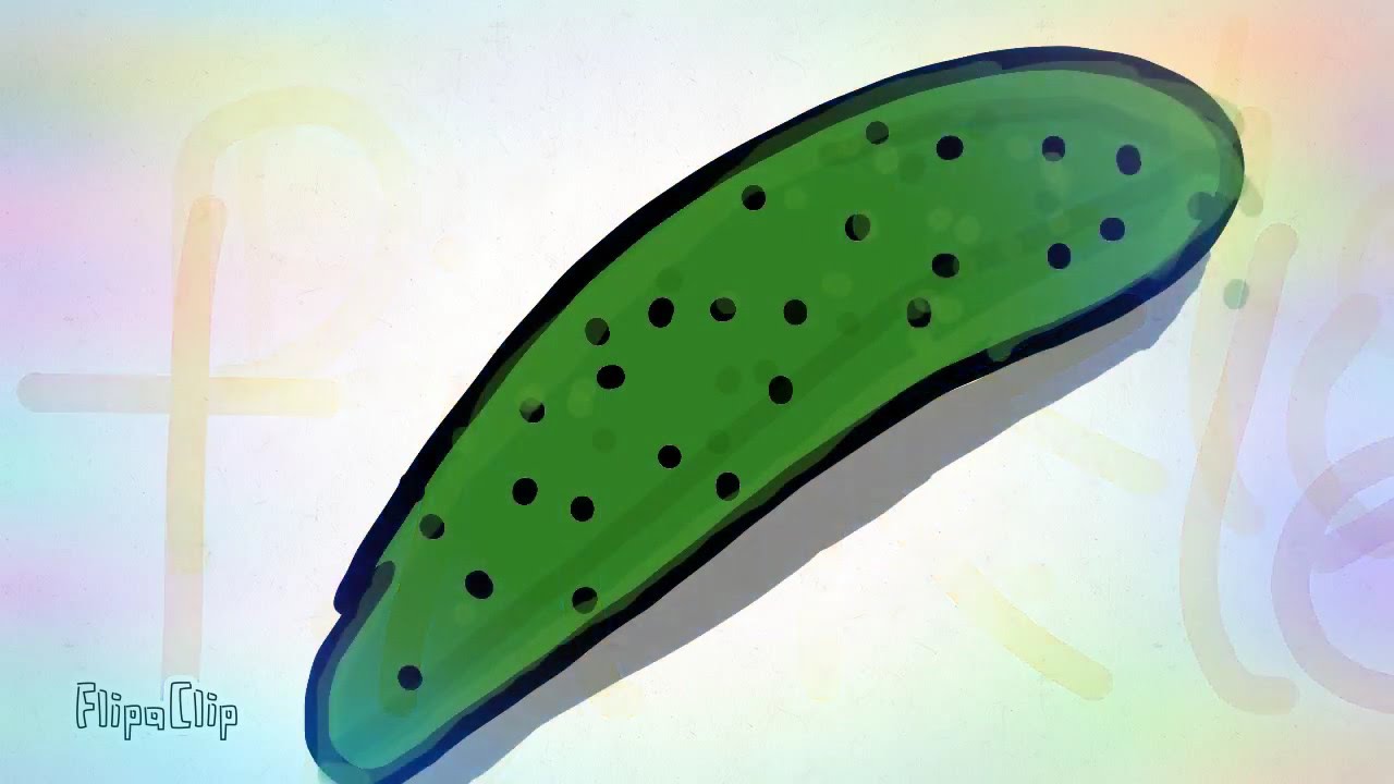 The Dumb Pickle Song - YouTube