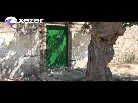 Binədə dəhşət - Qaynını öldürərək meyitini həyətdə basdırdı