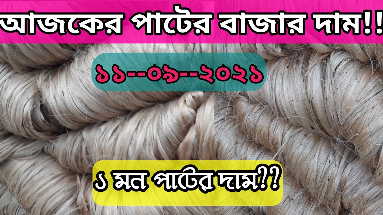 Jute Price | আজকের পাটের দাম ২০২১ | 11 Sep 2021 | Today Jute Price ...
