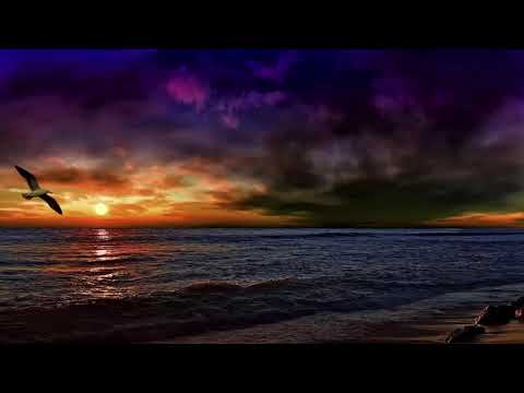 Steel-Deniz Kıyısı