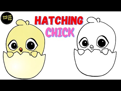 How to draw a Hatching Chicken || Hatching Chicken Drawing - YouTube