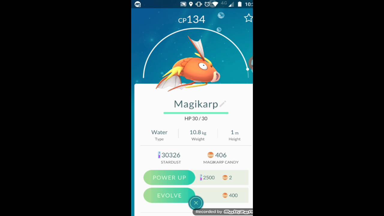 Pokémon GO - Evolução do Magikarp - YouTube