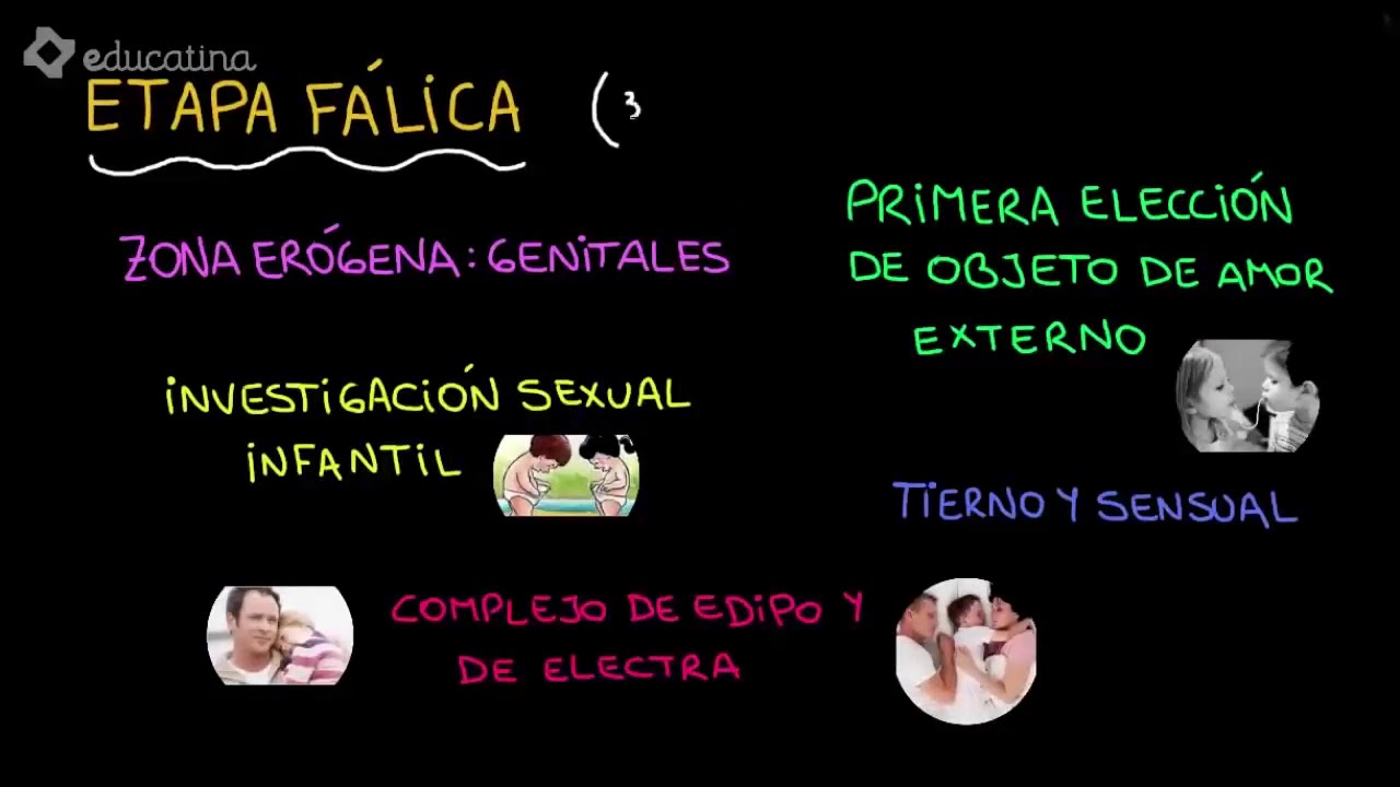 Etapas psicosexuales según Freud - YouTube