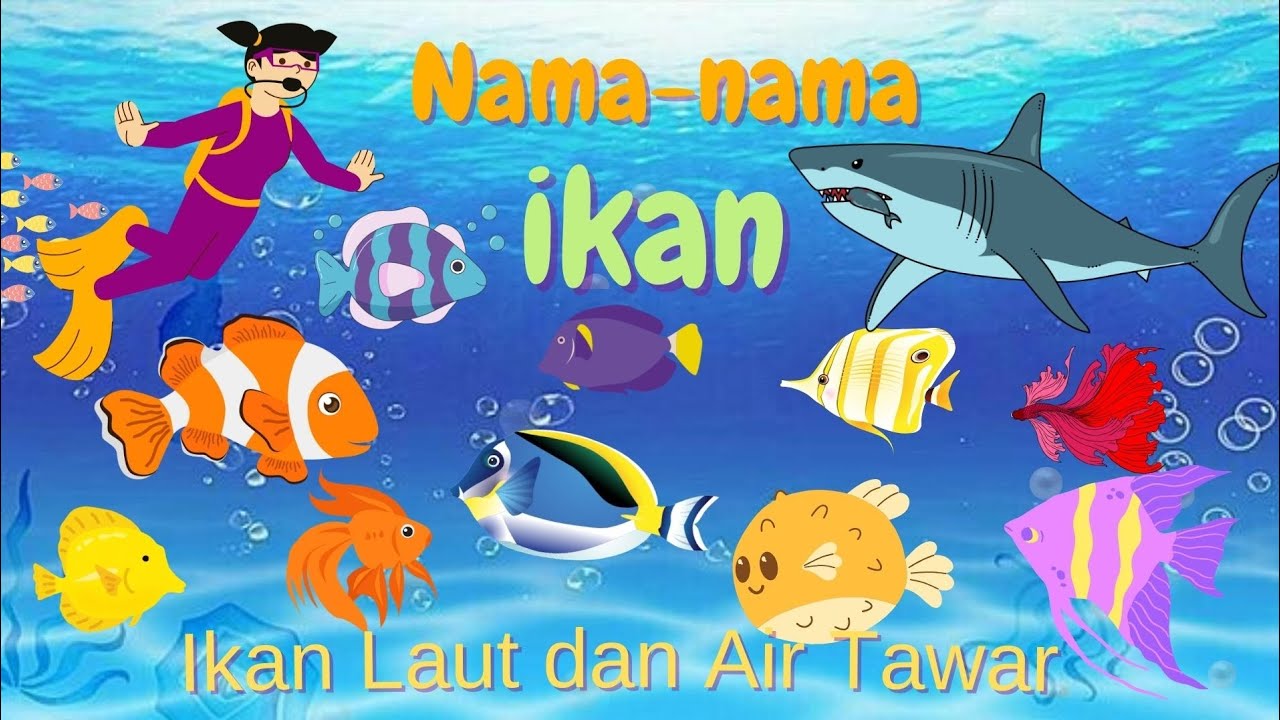 Belajar mengenal nama - nama Ikan Laut dan Air Tawar | | Nama nama ikan ...
