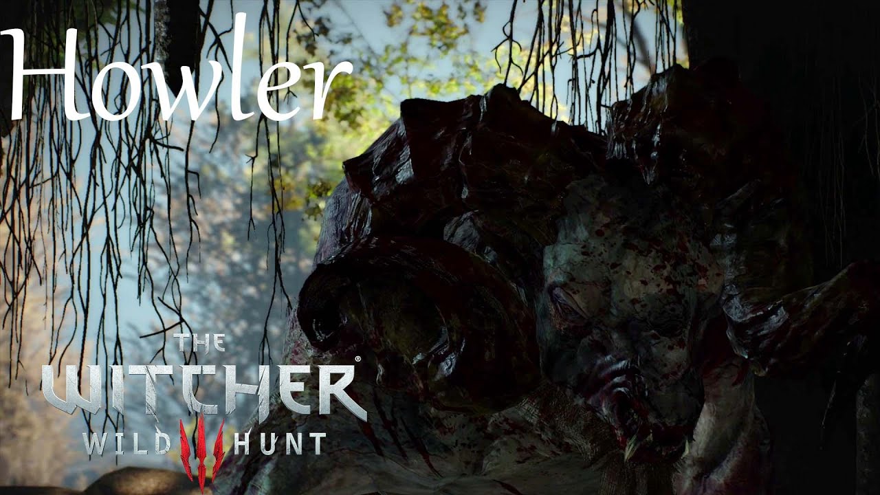 The Witcher 3: Wild Hunt - Howler Boss Fight - YouTube