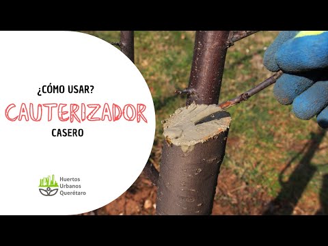 ¿Cómo se usa el cauterizador orgánico? - YouTube