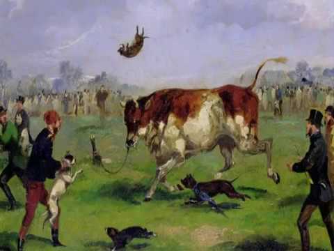 The Mastiff Documentary - YouTube