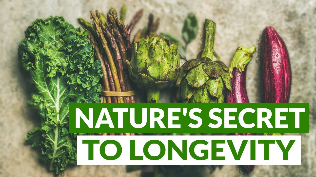 Phytonutrients Explained: Benefits, Food Sources & Side Effects - YouTube