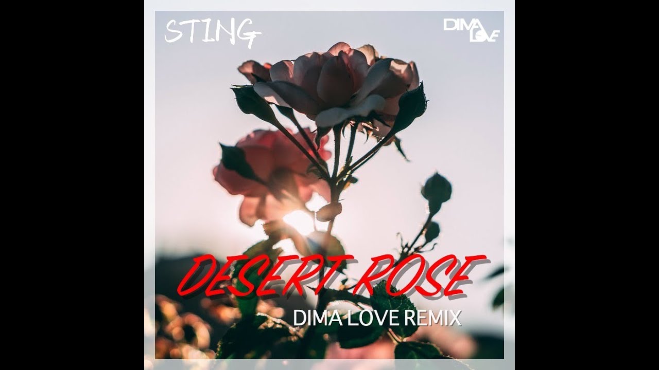Sting - Desert Rose (Dima Love remix) - YouTube