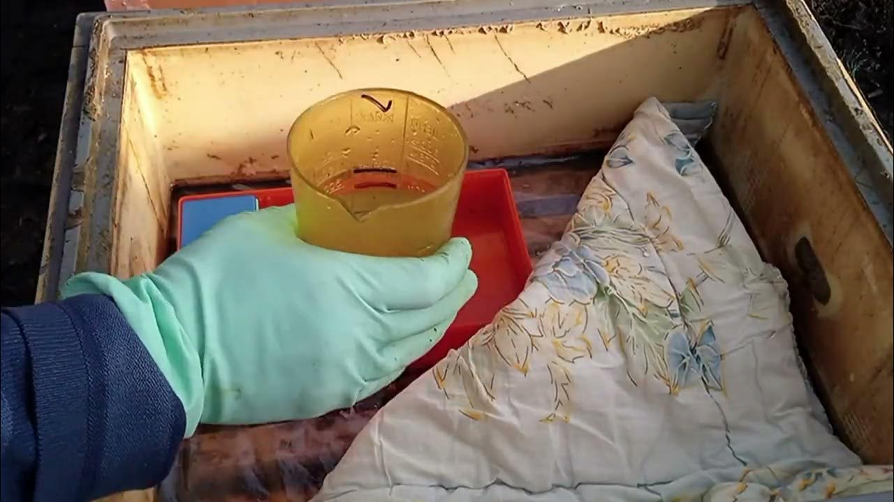 Кобальт хлористый, В12. Стимуляция маток - YouTube