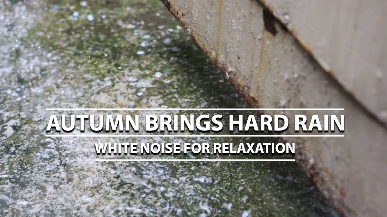 Soothing Hard Autumn Rain Sounds for Sleep, Study and Relax - YouTube