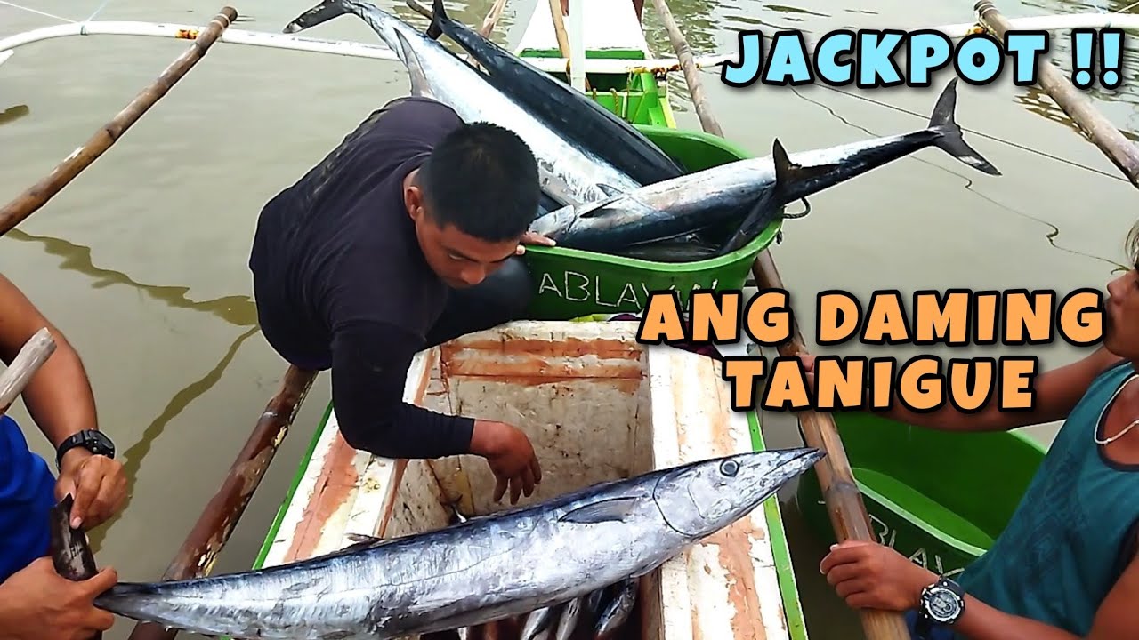 ANG DAMING TANIGUE 60 KILOS | TRADITIONAL HANDLINE FISHING - YouTube