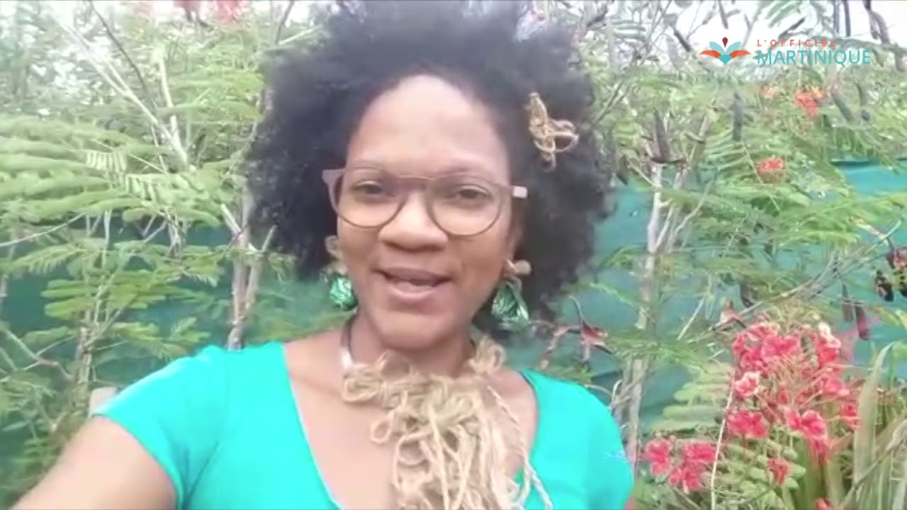 Ti Siyak et Soup' a Kay - Raphaël Concept, Bellefontaine - YouTube