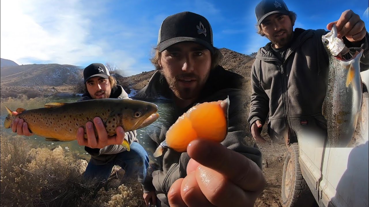 Eating RAW River Trout!! Catch n’ Eat - YouTube