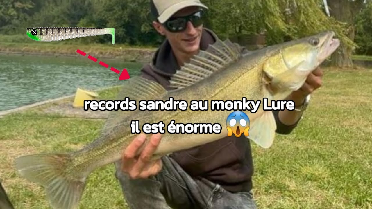 session multi carnassier incroyable 😱 +record sandre en ultra light ...