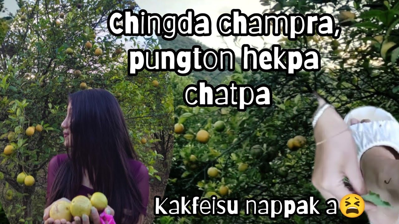 Chingda Pungton ga Champra hekpa chatpada kakfei ga kang gana tallak a😫 ...
