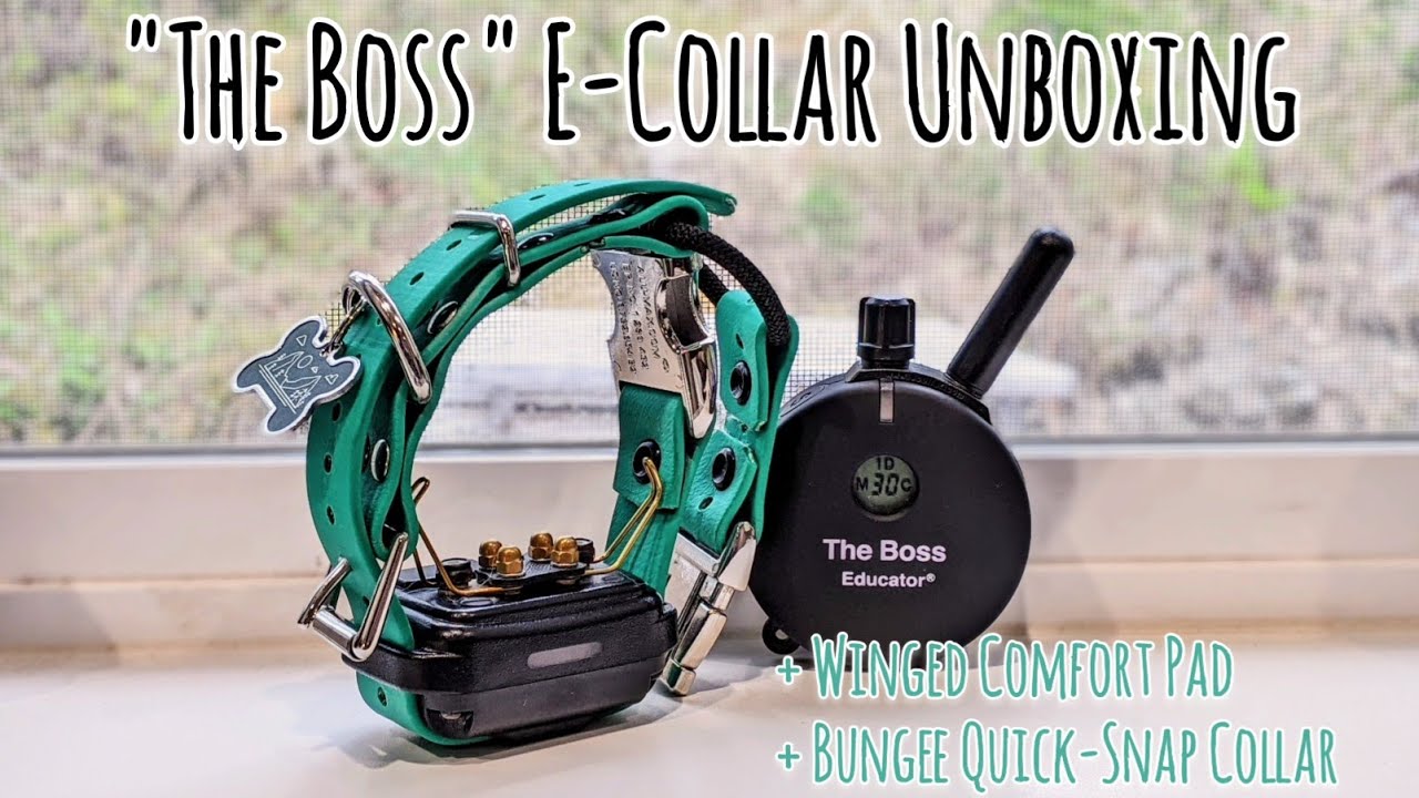 E-Collar Unboxing | "The Boss" + Winged Comfort Pad + Bungee Quick-Snap ...