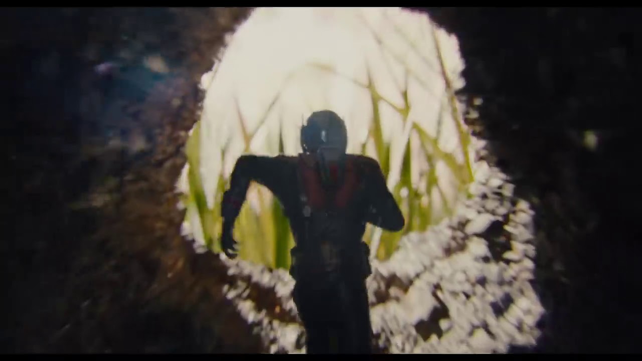 Ant man all fight scenes ( 2015- 2016) - YouTube