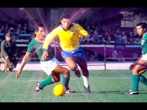 Garrincha The Genius of Football -The Second Greatest Football Player ...