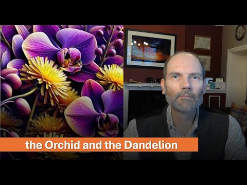 A poem about Dissociative Identity Disorder written by a person with ...