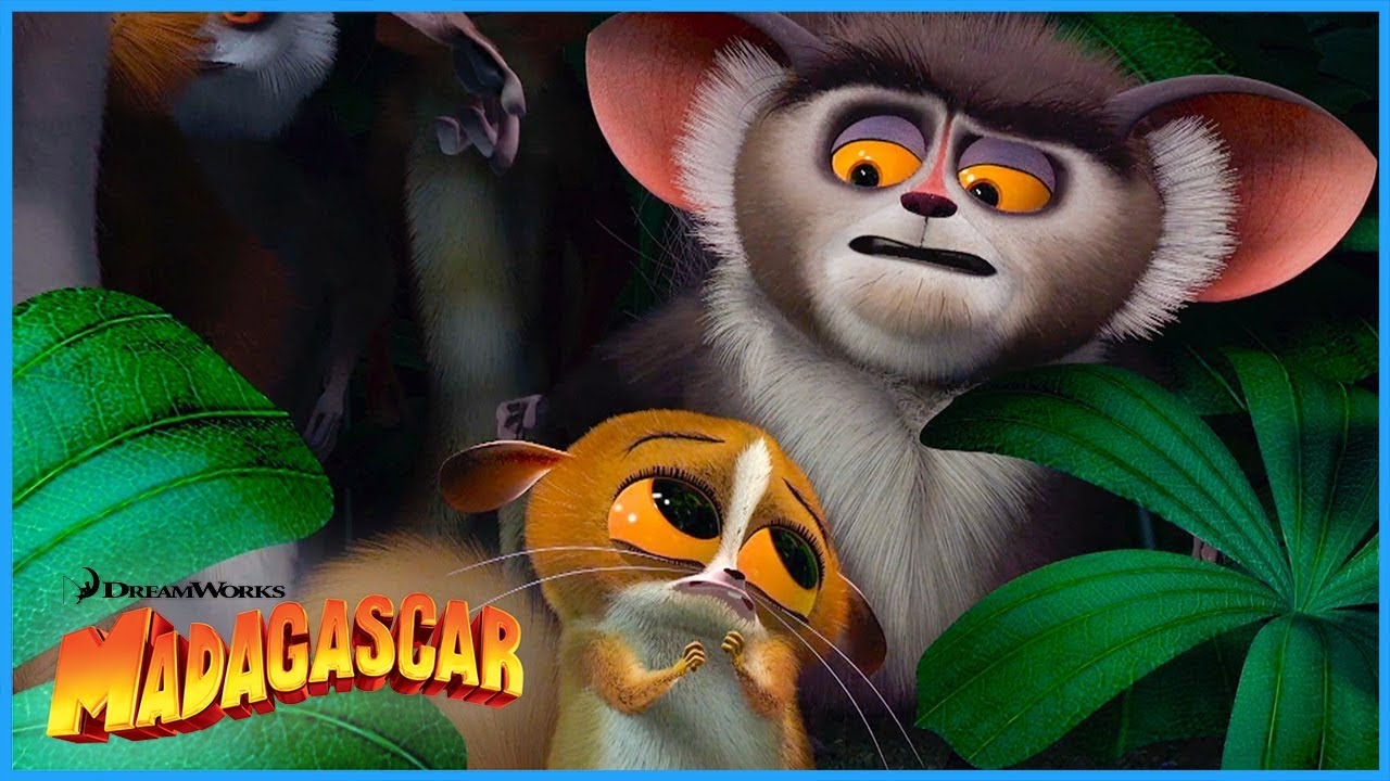 The Cutest Little Lemur 😍 | DreamWorks Madagascar - YouTube