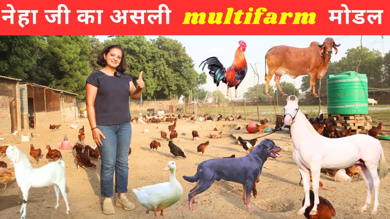 नहीं देखा होगा ऐसा Multifarm @@@ IFT - YouTube