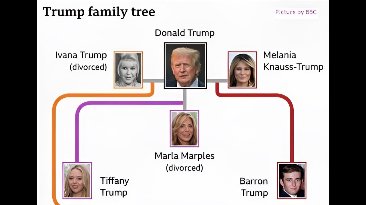 Trump's Family Tree - YouTube
