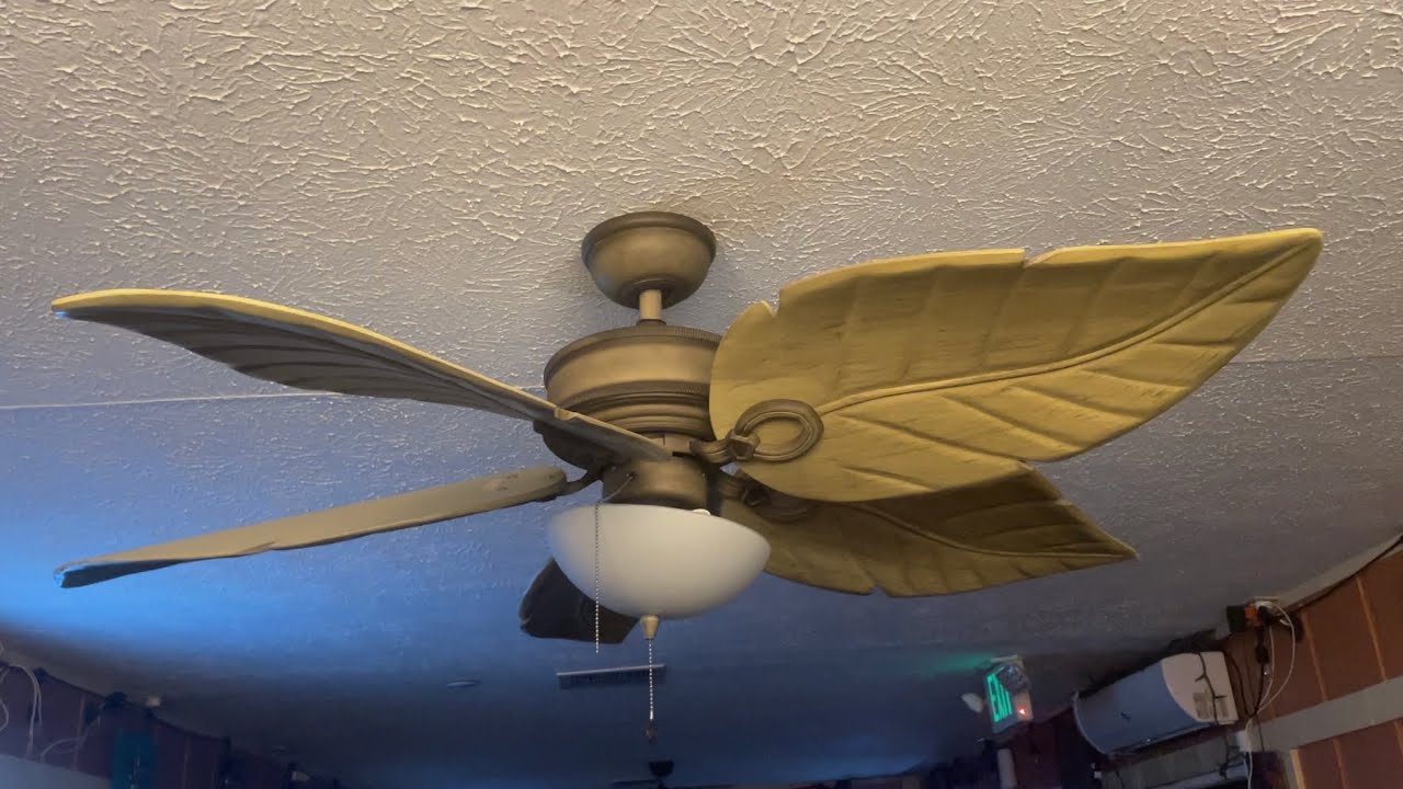 4 56” Hampton Bay Costa Mesa Ceiling Fans at The Alibi Beach Restaurant ...