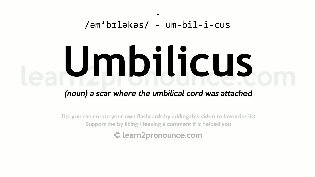 Umbilicus pronunciation and definition - YouTube