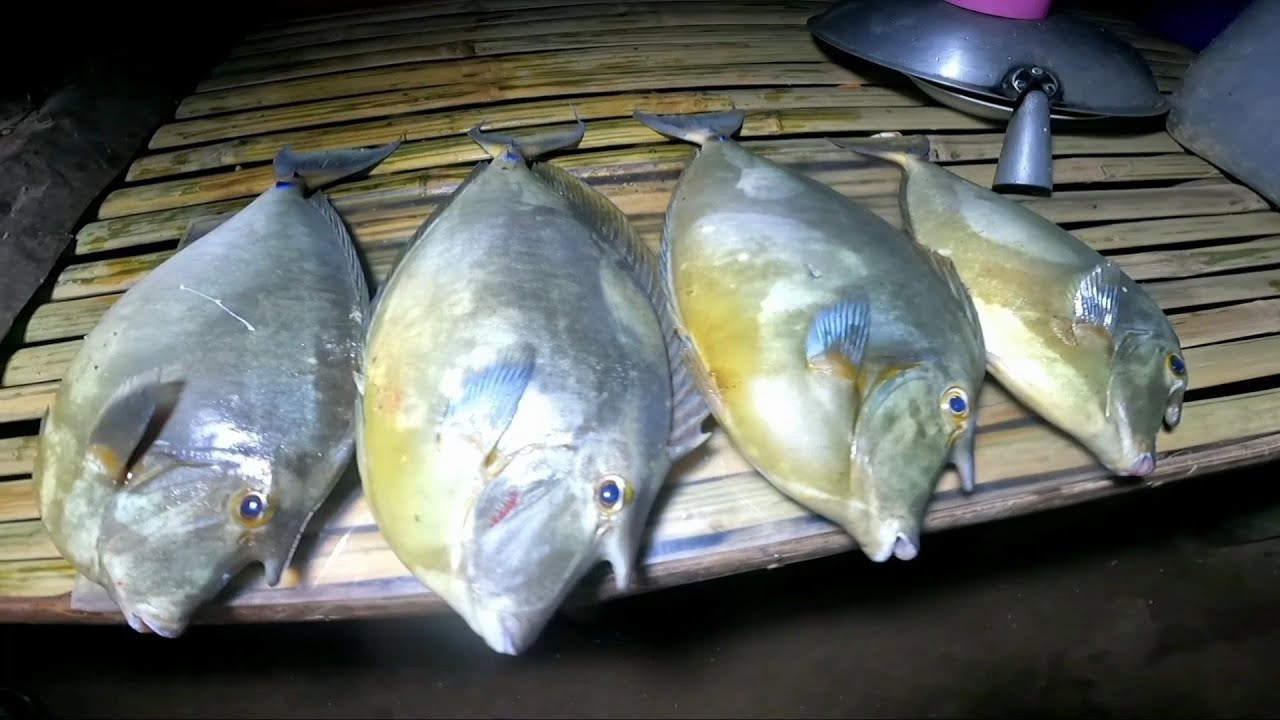 Dami talaga surahan kahit sa malapit lang isla - YouTube