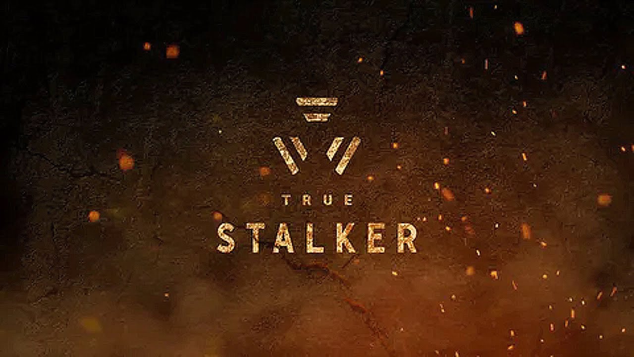 S.T.A.L.K.E.R. True Stalker #12 - YouTube