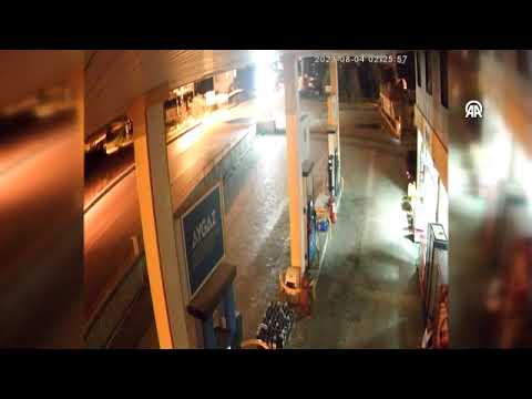 Kurt Tokat'ta şehir merkezine indi! İşte o anlar