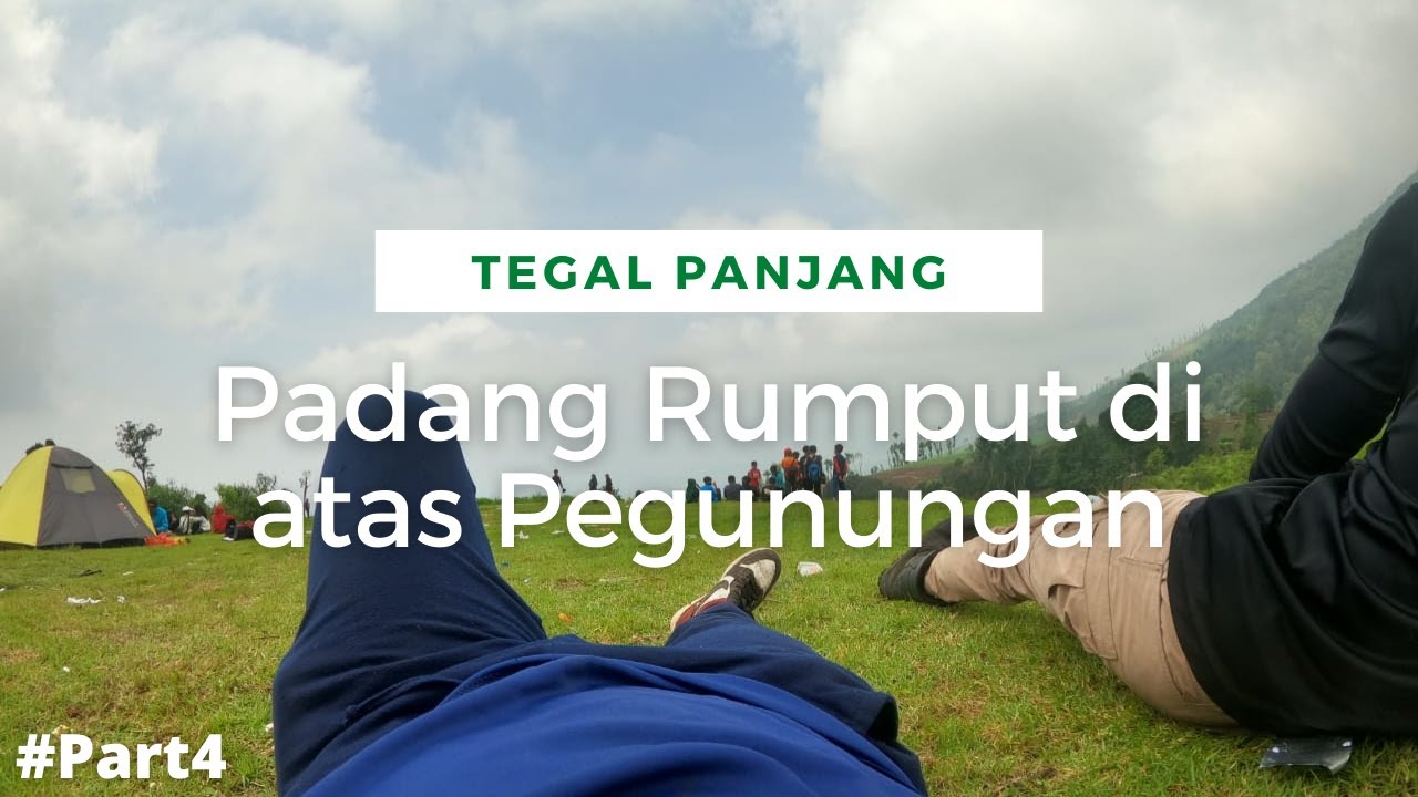Buffalo Padang Rumput atas Pegunungan | Dokumenter Tegal Panjang Part 4 ...