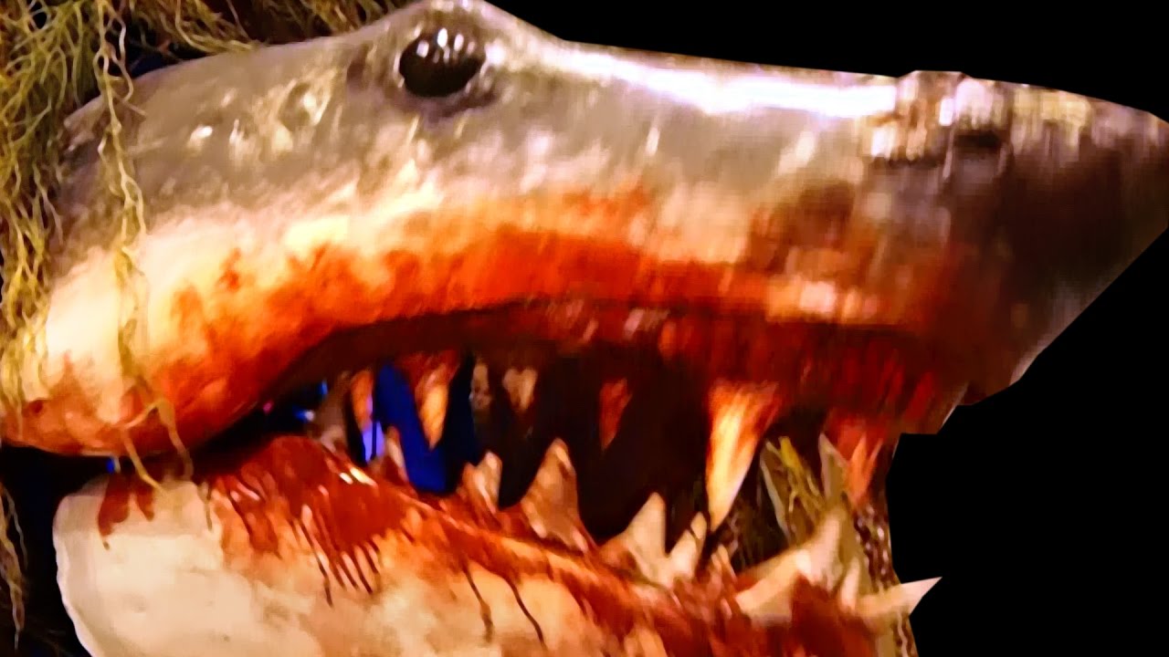 Nevermore Productions at Halloween Haunt and Attractions Show ...