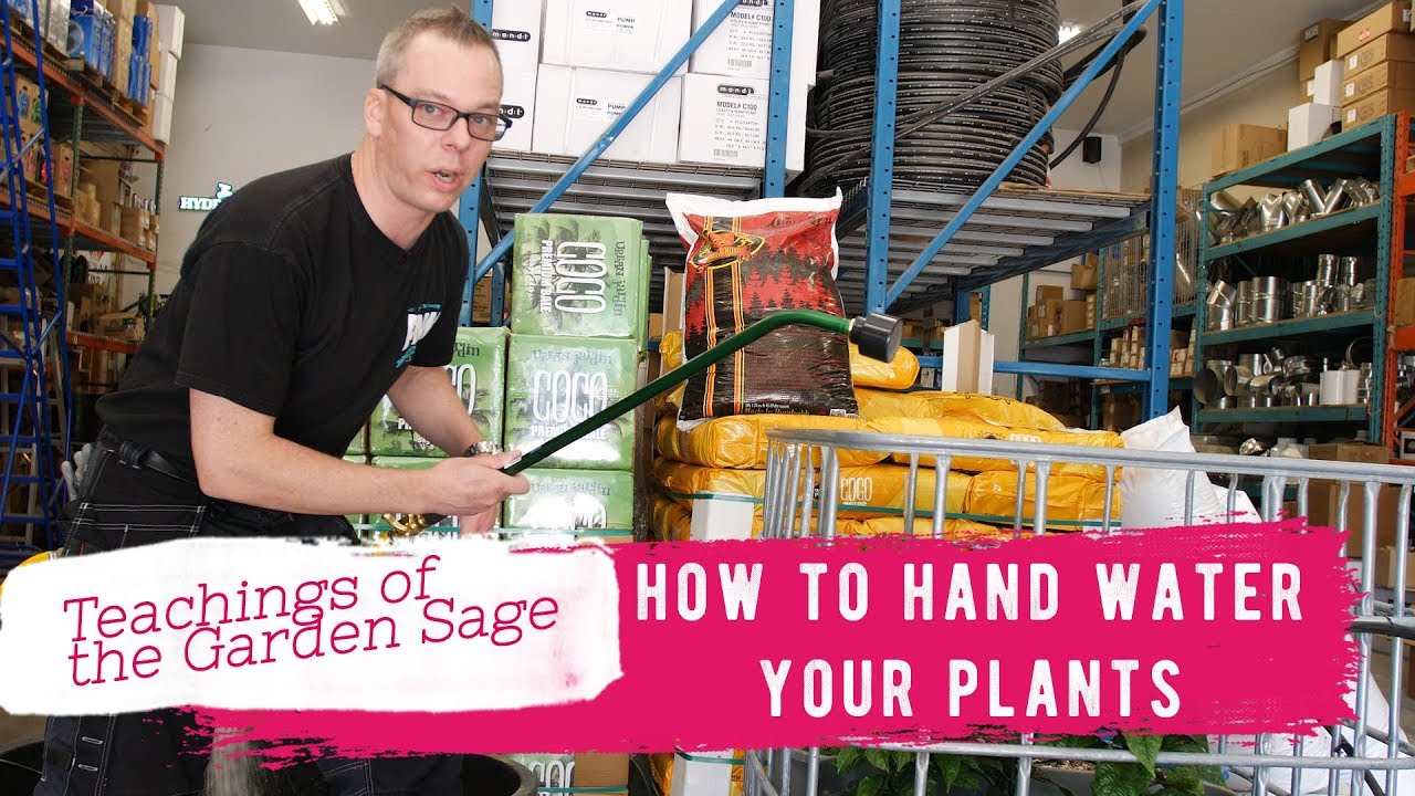 How To Hand Water Plants - YouTube