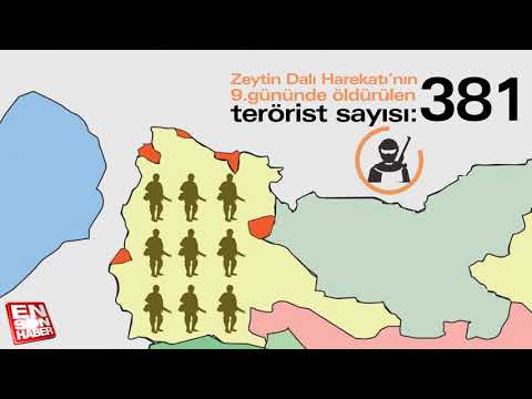 Afrin Operasyon 2