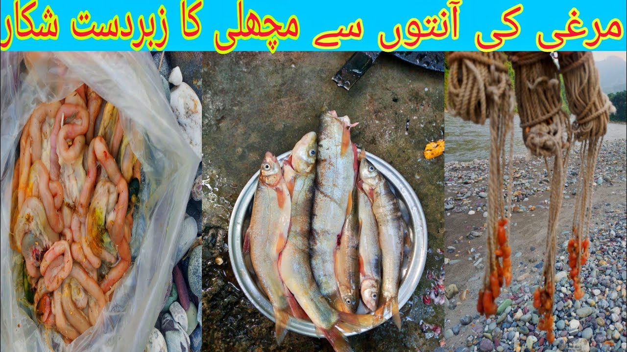 Fishing video / Fishing With hook / River hunting Village boy Fishing ...