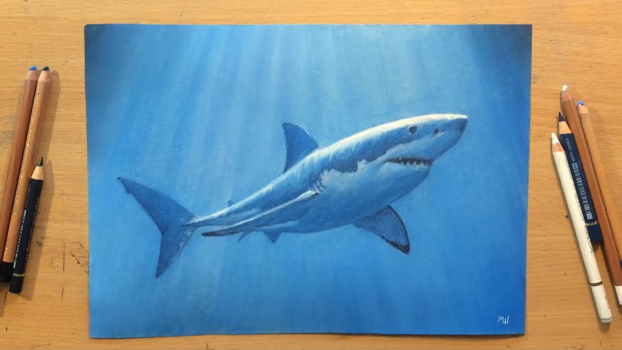 Shark Drawing in Pastel Pencil and Colored Pencil - YouTube